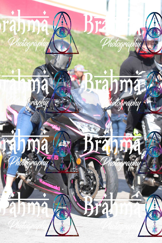 IMG 1847 — Postimages