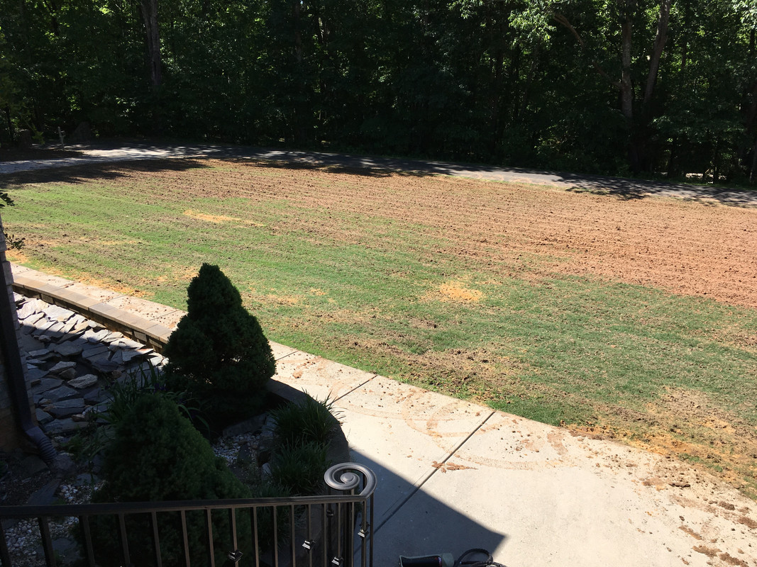 IMG 1237 — Postimages