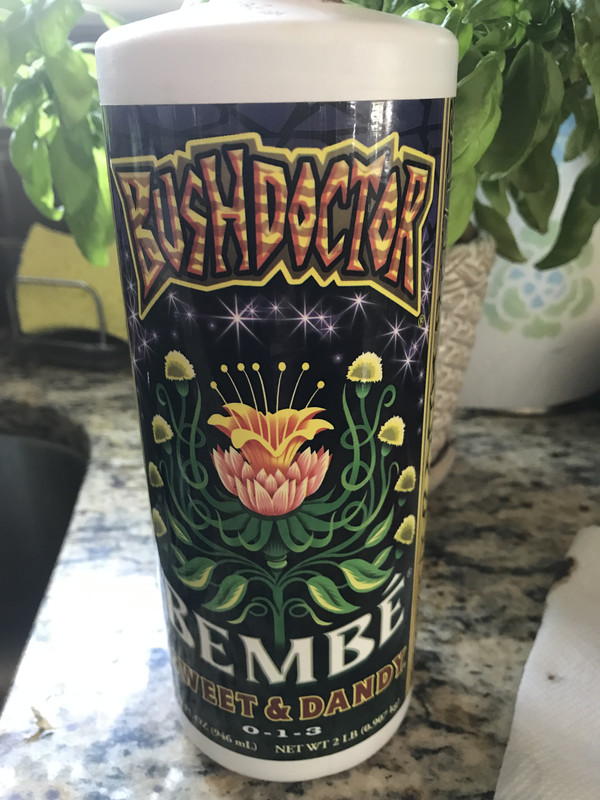 IMG 0826 — Postimages