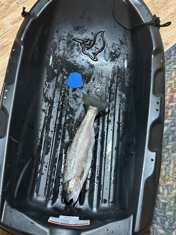 IMG 2129 — Postimages