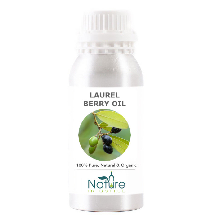 Laurel Berry Oil Organic - Laurus Nobilis Fruit Oil Turkey