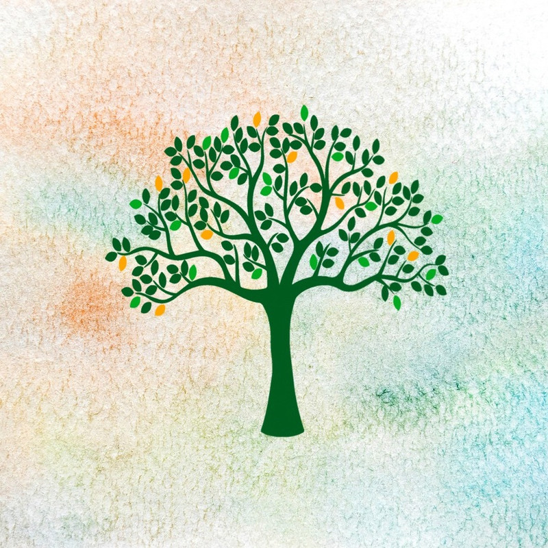 GitHub - gnosisxd/fondo