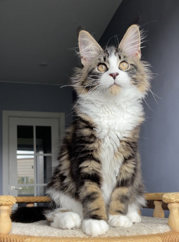 IMG 4100 — Postimages