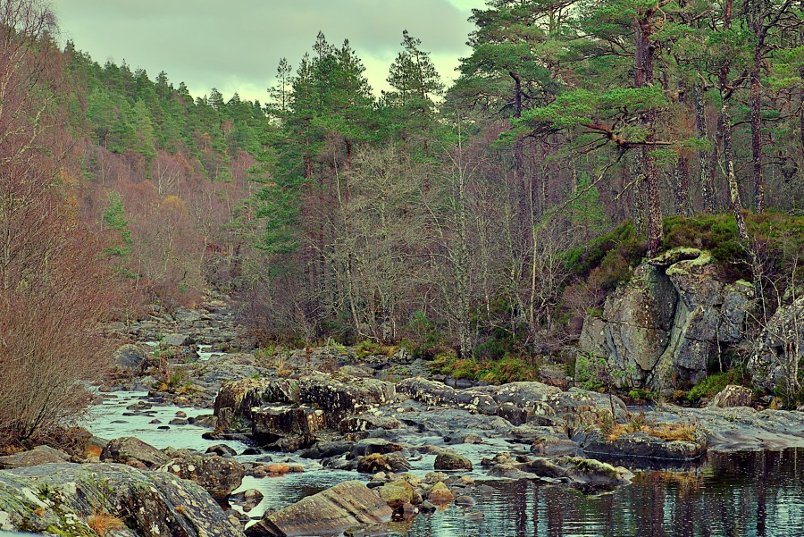 Challenge #488 - PentaxForums.com