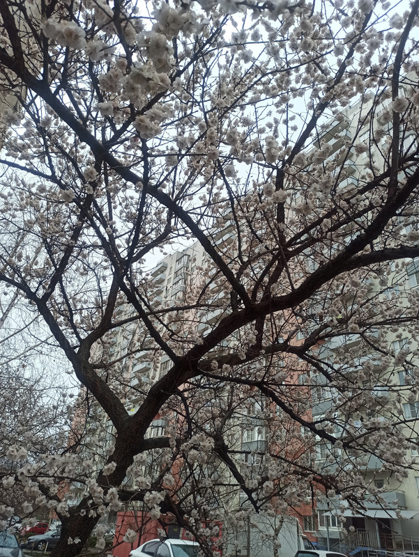 IMG 20230321 111110 — Postimages