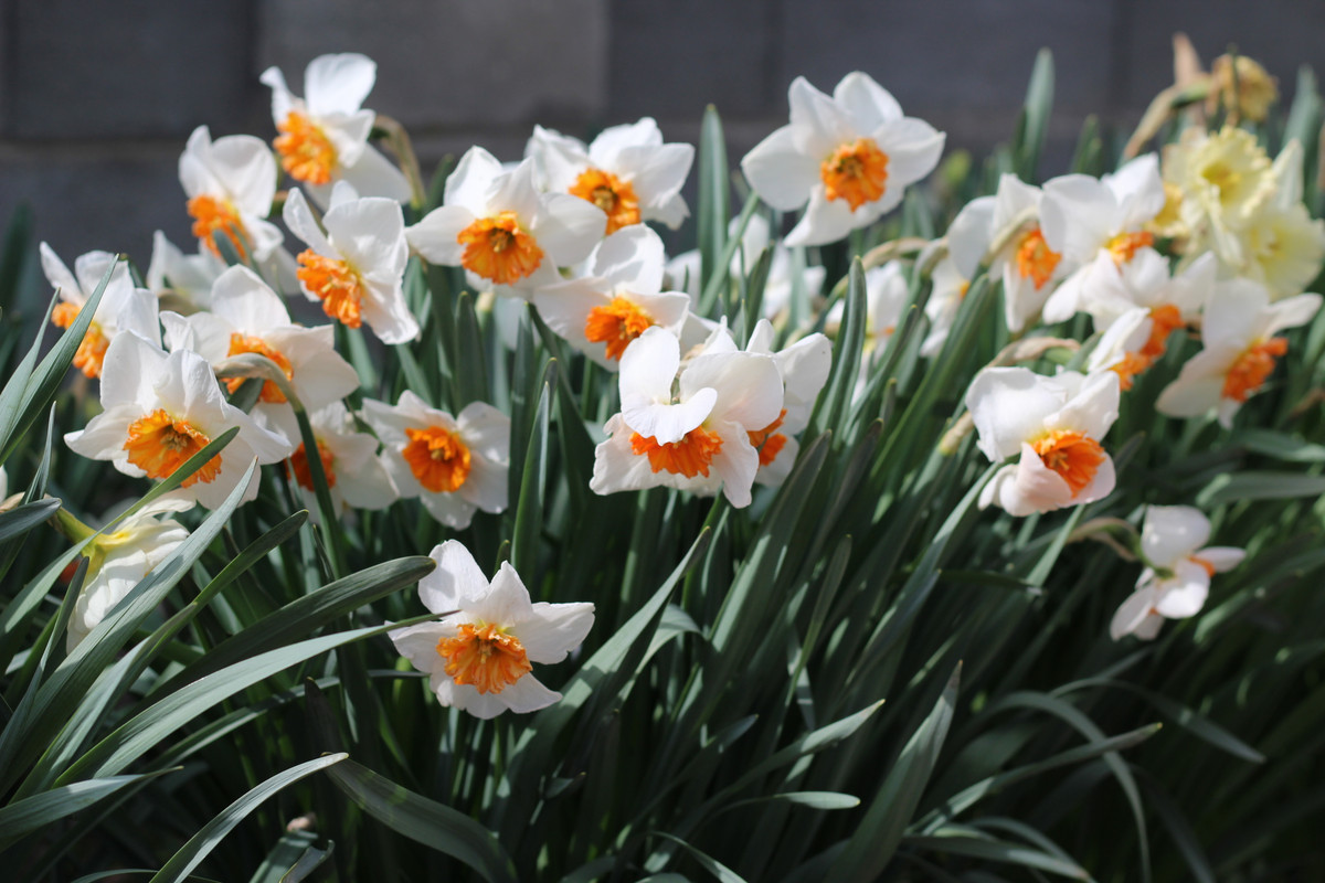 IMG 3697 — Postimages