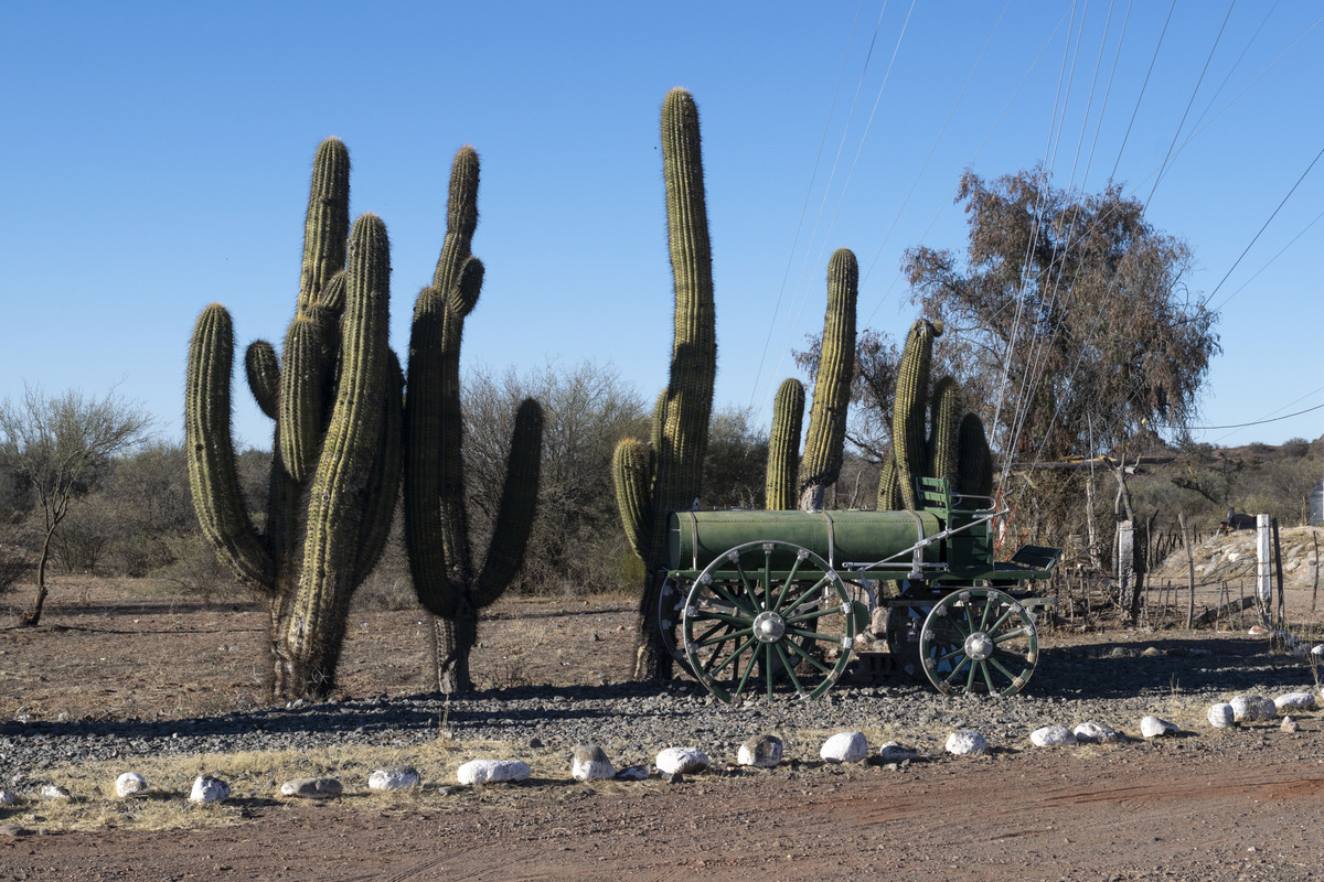 DSC 0063 — Postimages