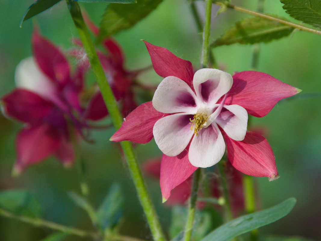 DSC09849 topaz sharpen — Postimages