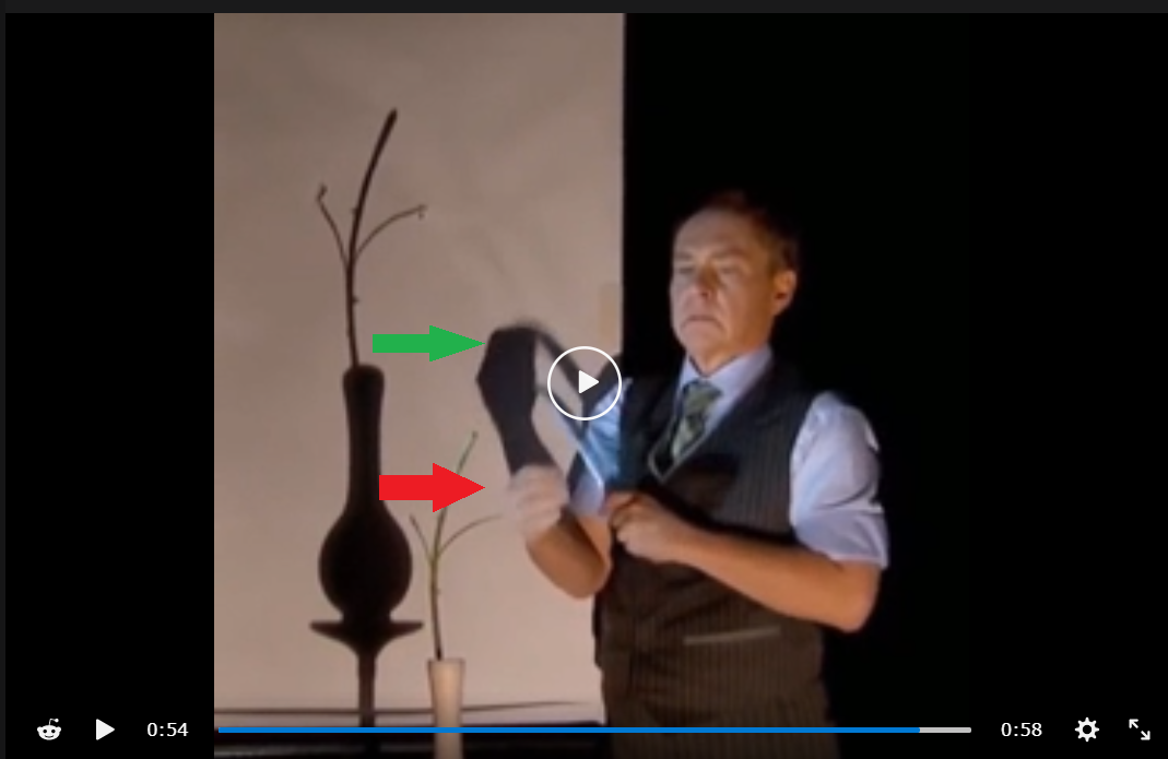 Teller's Famous Shadow Magic : r/nextfuckinglevel