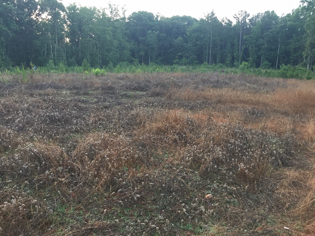 IMG 2073 — Postimages