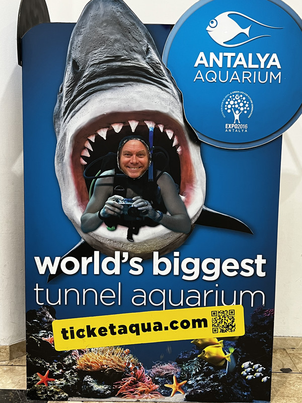 IMG 9900 — Postimages