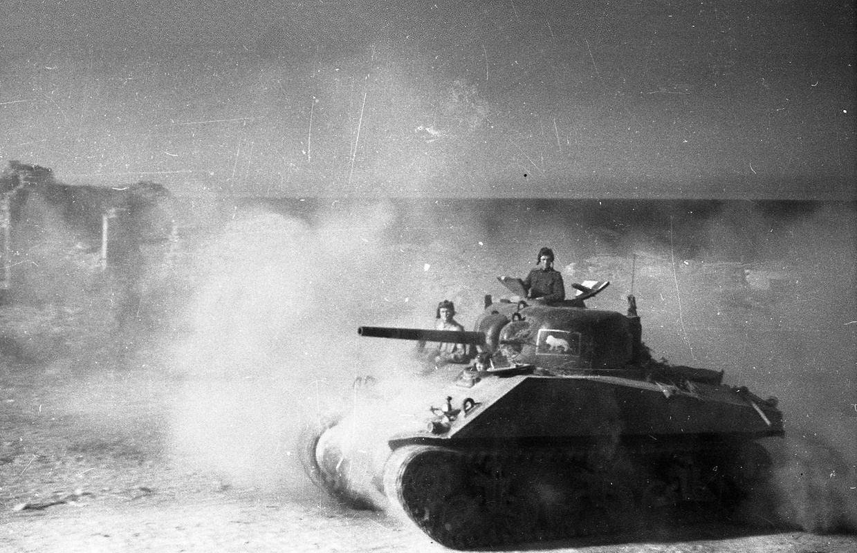 Sherman M4A2 "Emcha" (2012) - Page 3