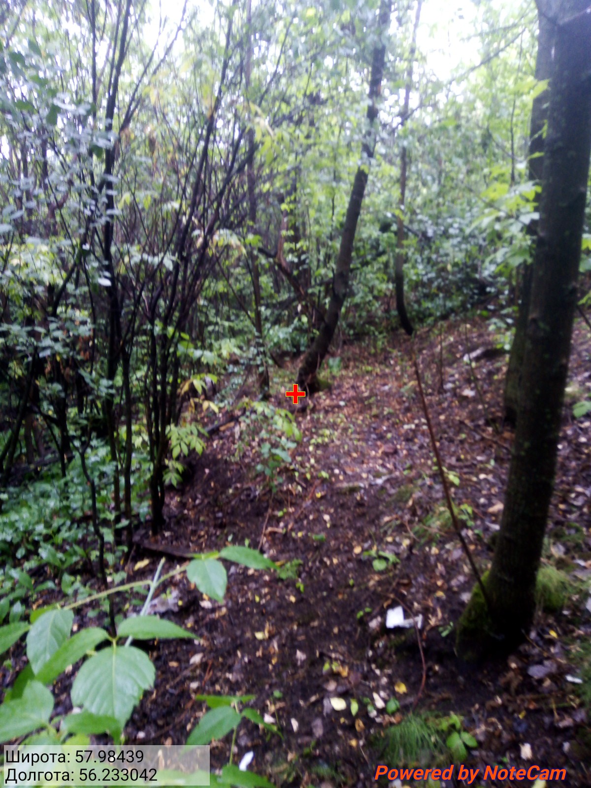 83 (1) — Postimages