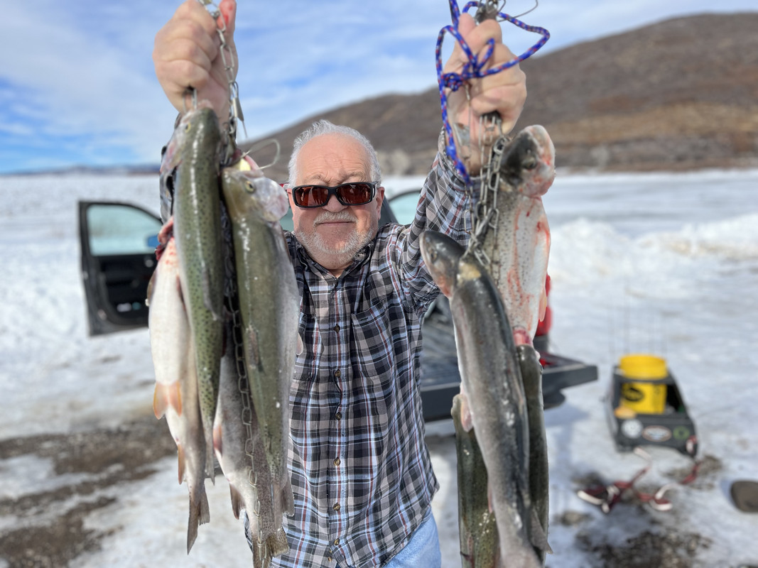 IMG 3336 — Postimages