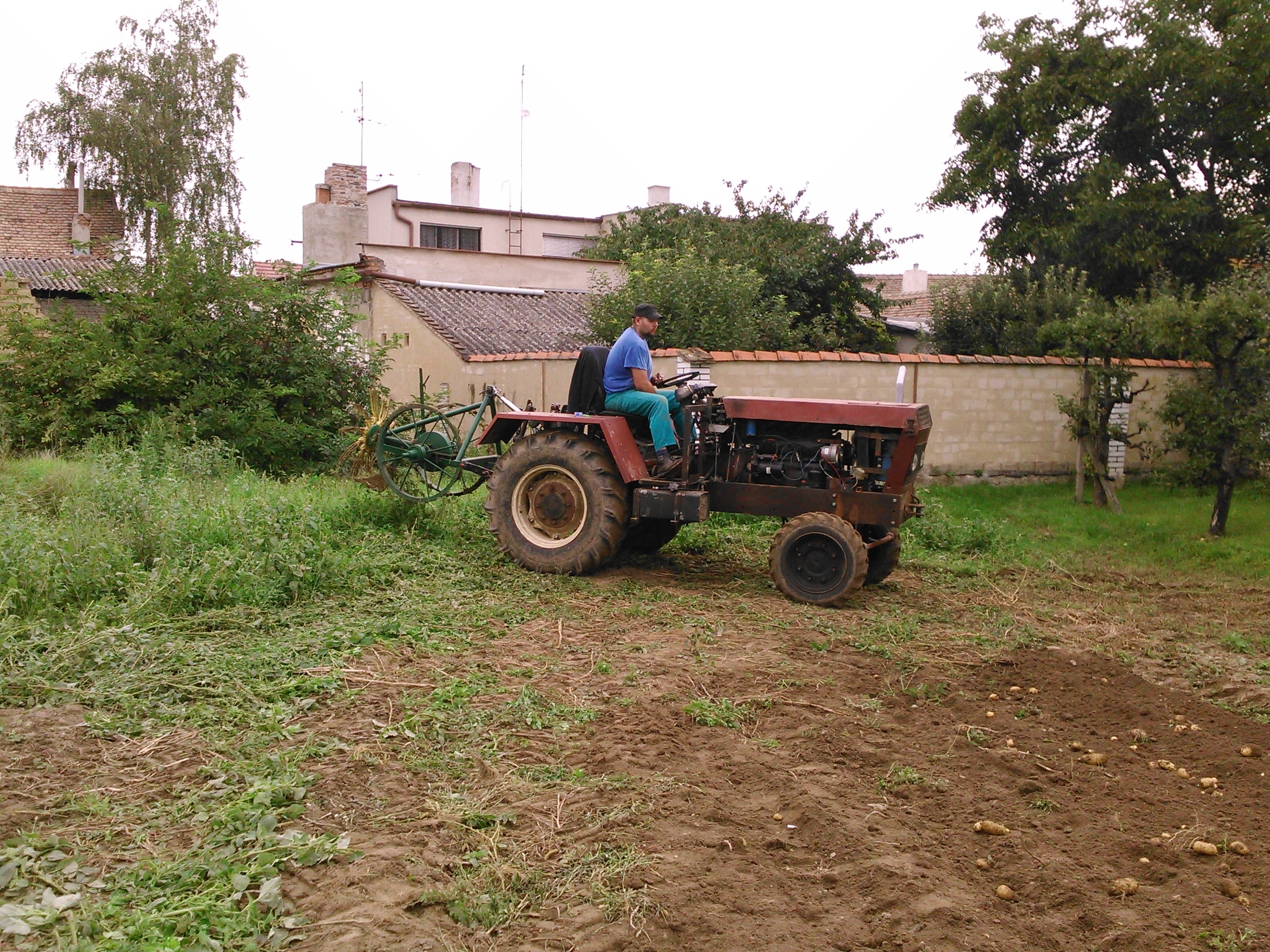 DSC 0295 — Postimages