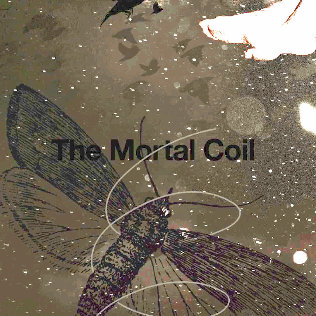 The Mortal Coil (from The OA Instagram) : r/TheOA