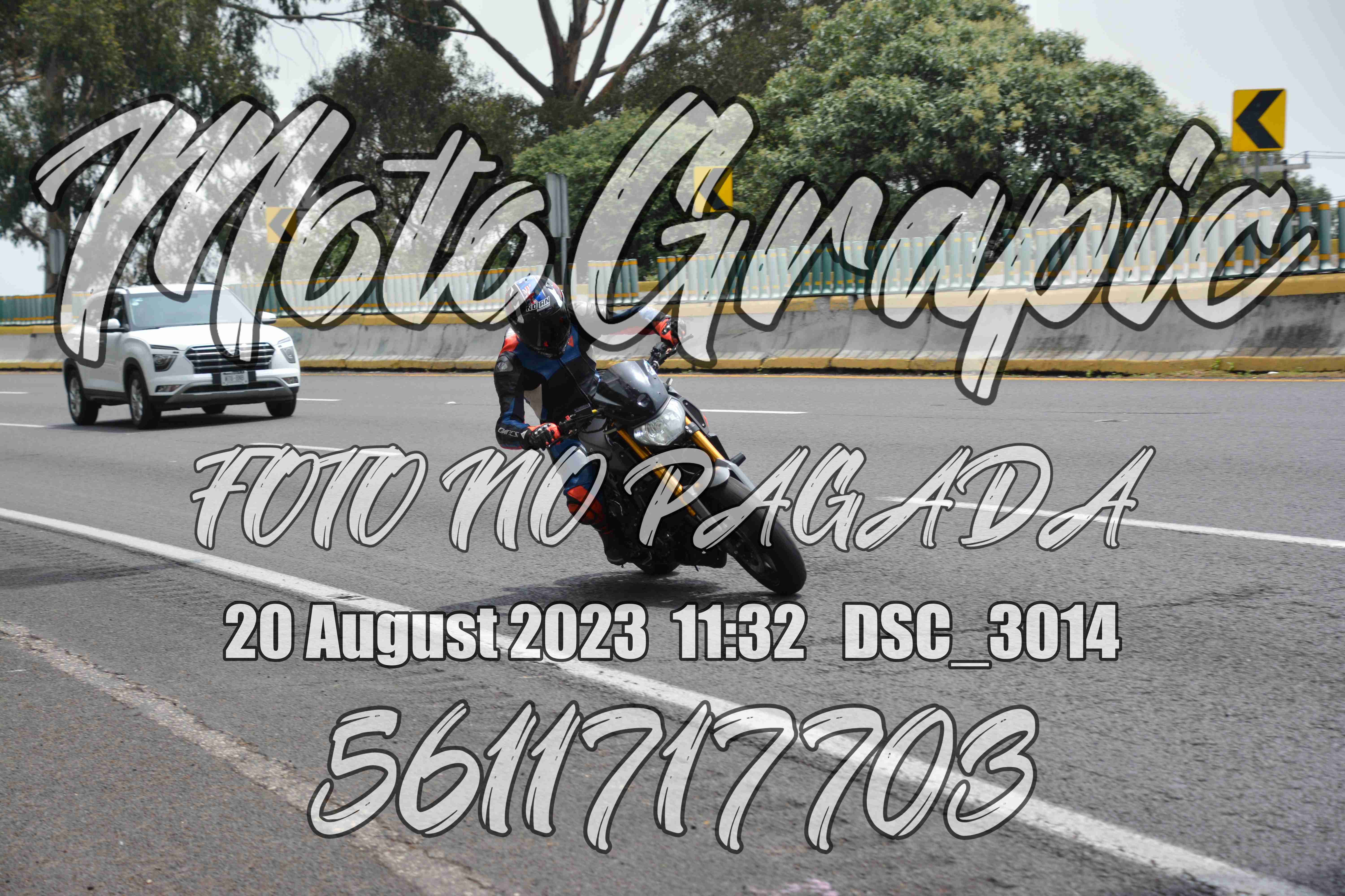 motgr DSC 3014 — Postimages