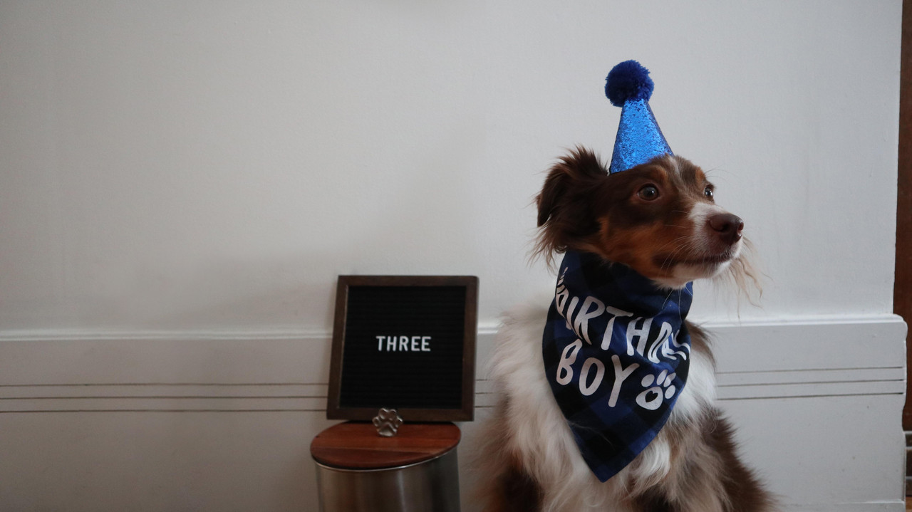 three — Postimages