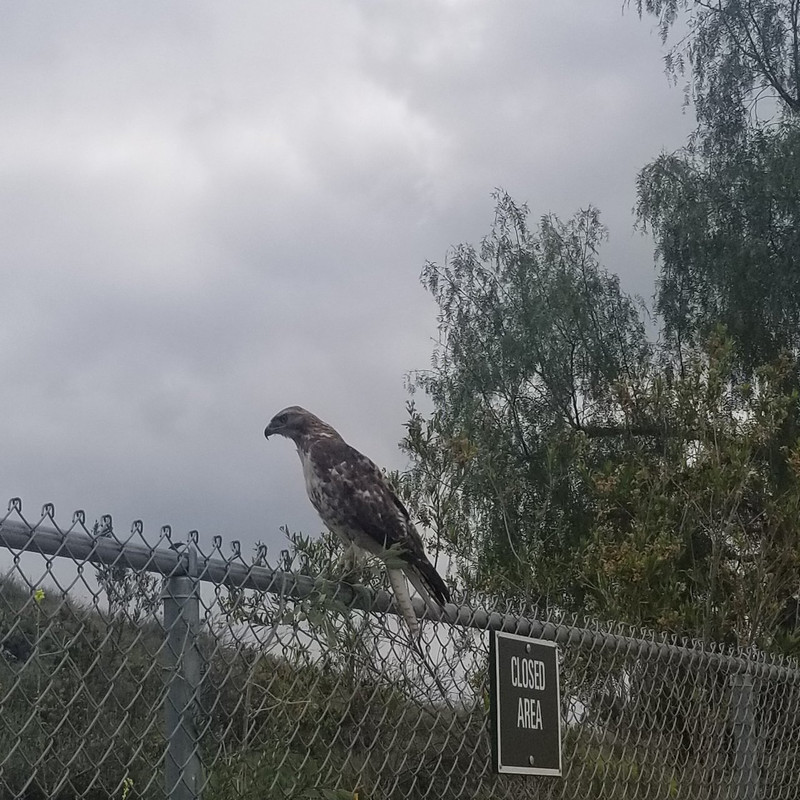 20210424 110058 — Postimages