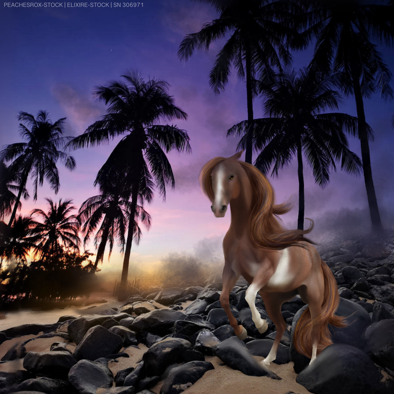 Horse Eden : Sugars Art Shop _ OPEN