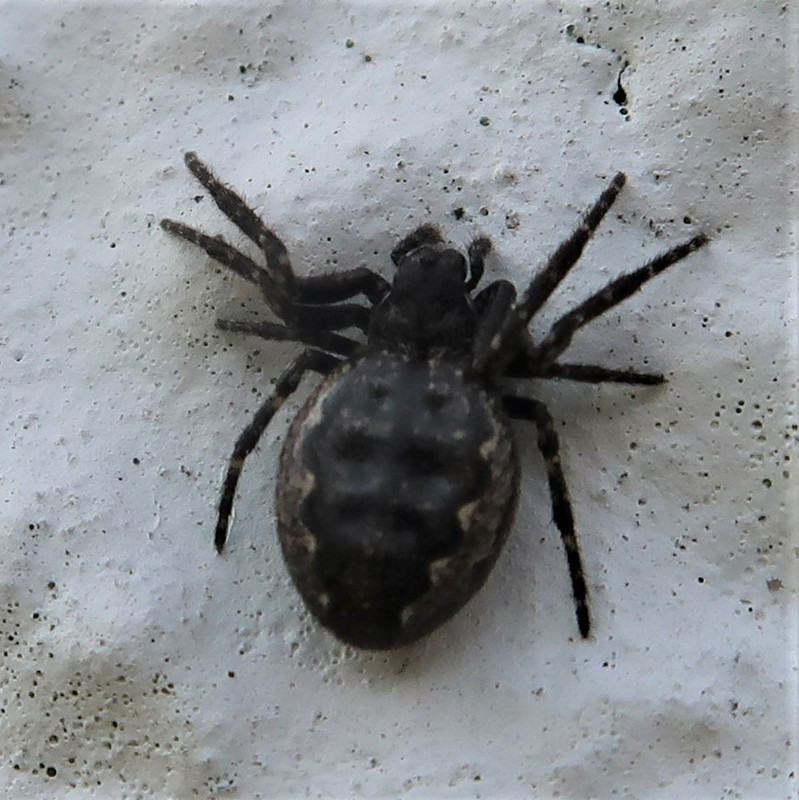 015 (2) — Postimages