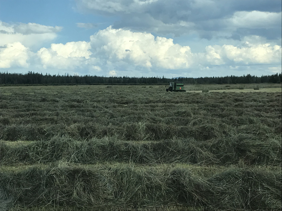 IMG 0286 — Postimages