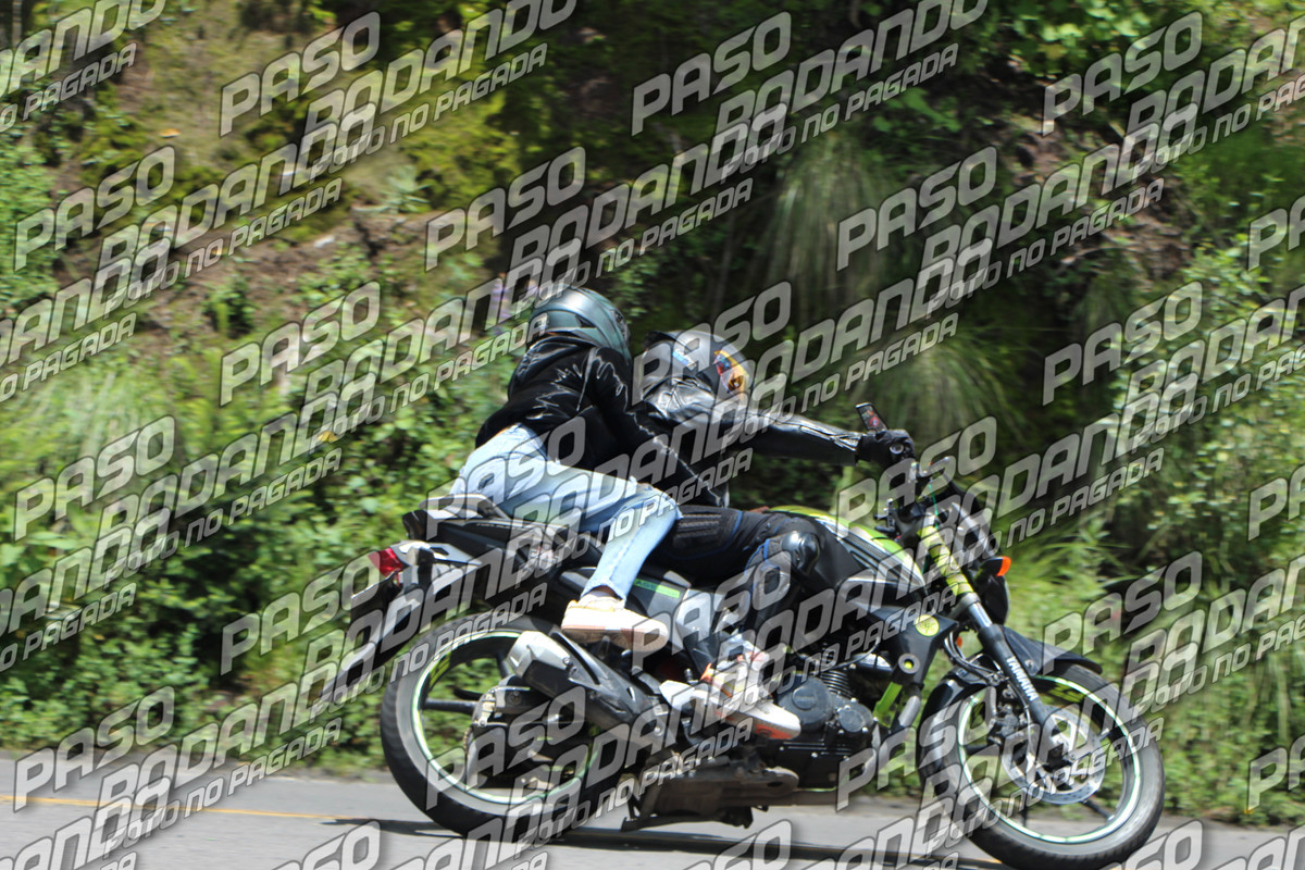 IMG 4202 wm 542380 4000000004 watermarked — Postimages