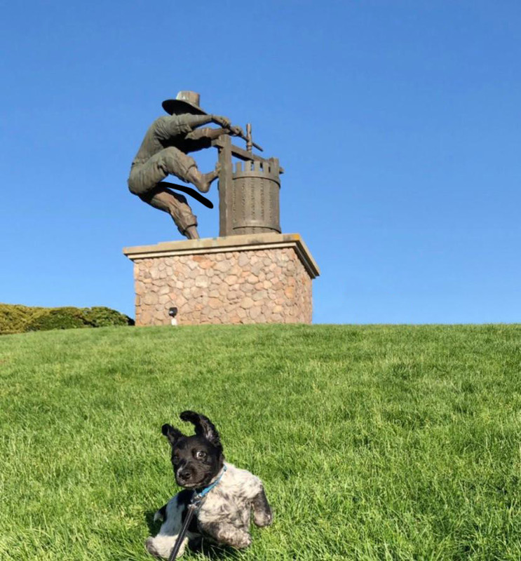 6n9dm71iq6o81 — Postimages