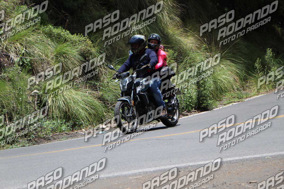 IMG 1269 wm 281263 2999999998 watermarked — Postimages