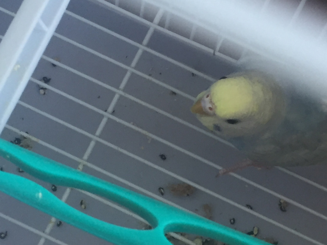 D066 C4 D0 A0 E4 4 B95 9 DC4 0 E8 ED3 A37 E04 — Postimages