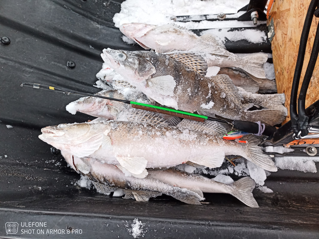 IMG 20230208 160032 589 — Postimages