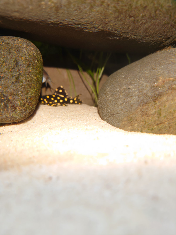 DSC 0900 — Postimages