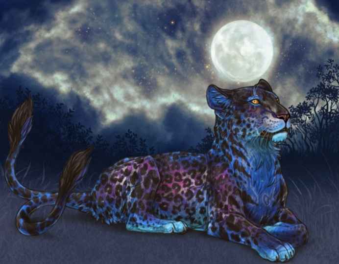 The Star Stream [OPEN] :|: Lioden