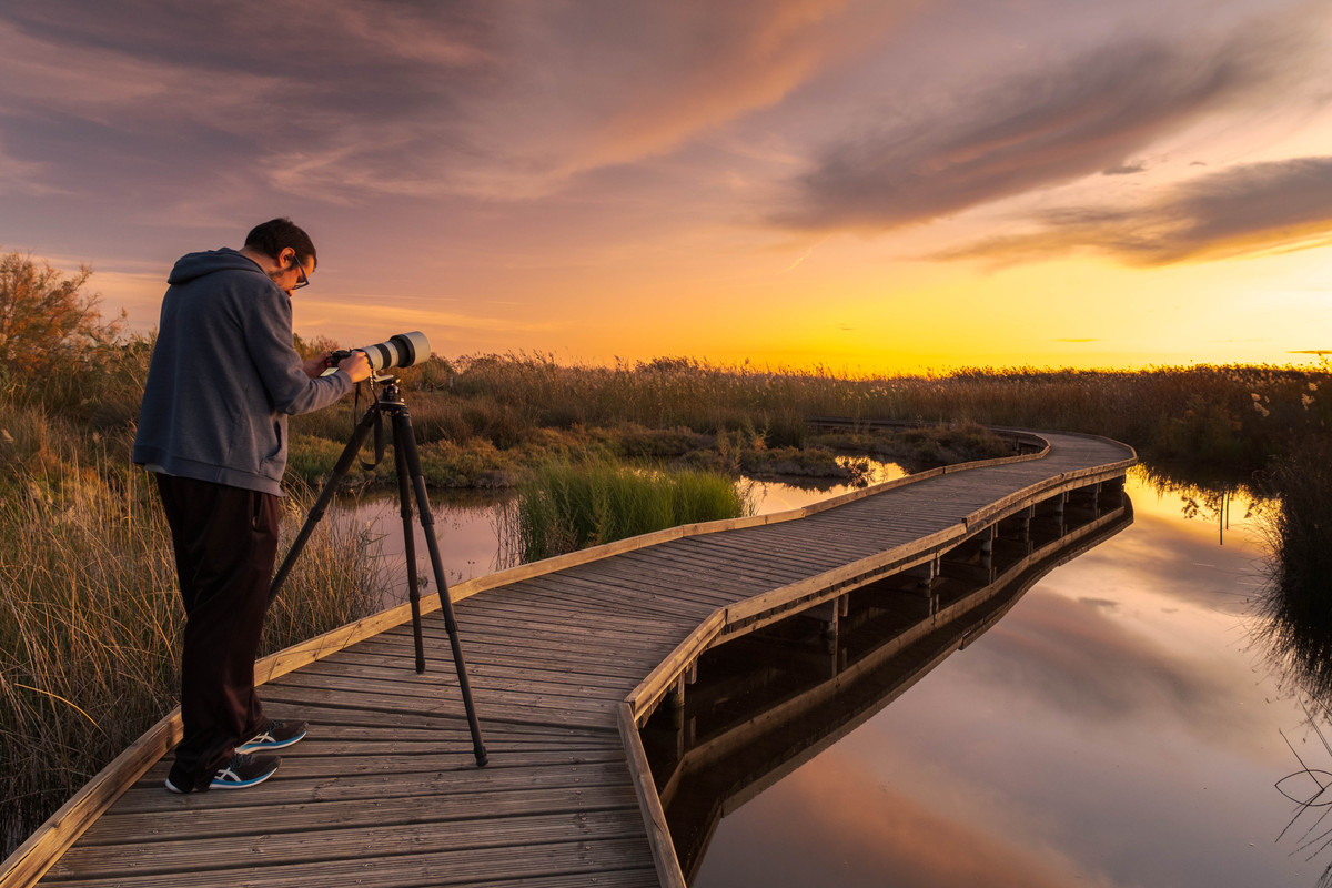 DSF2496 — Postimages