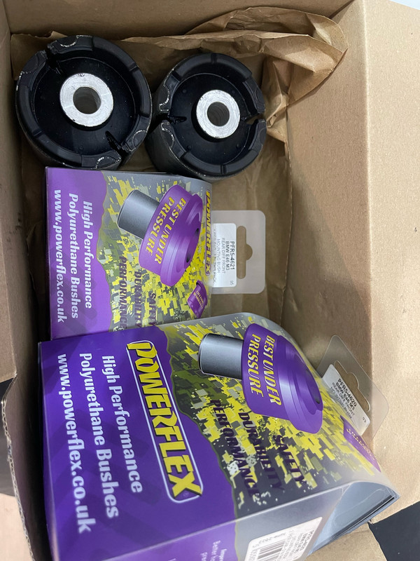 polybushes1 — Postimages