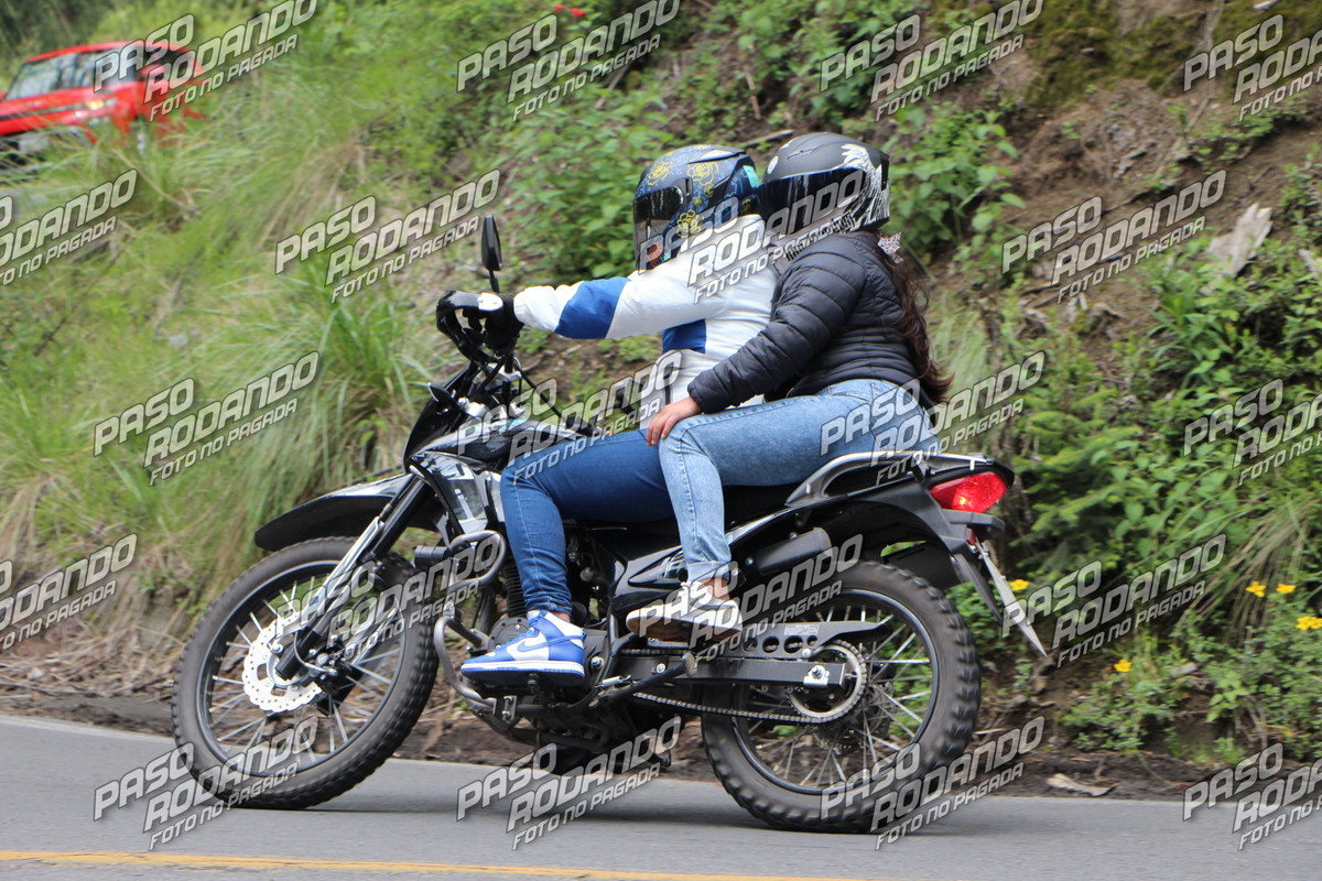 IMG 4448 wm 4976014 8 watermarked — Postimages