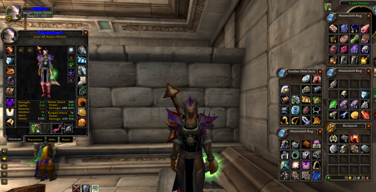 SOLD - Tbc ready Human Warrior US Pvp[Corrupted Ashbringer,Servo arm,T3 ...