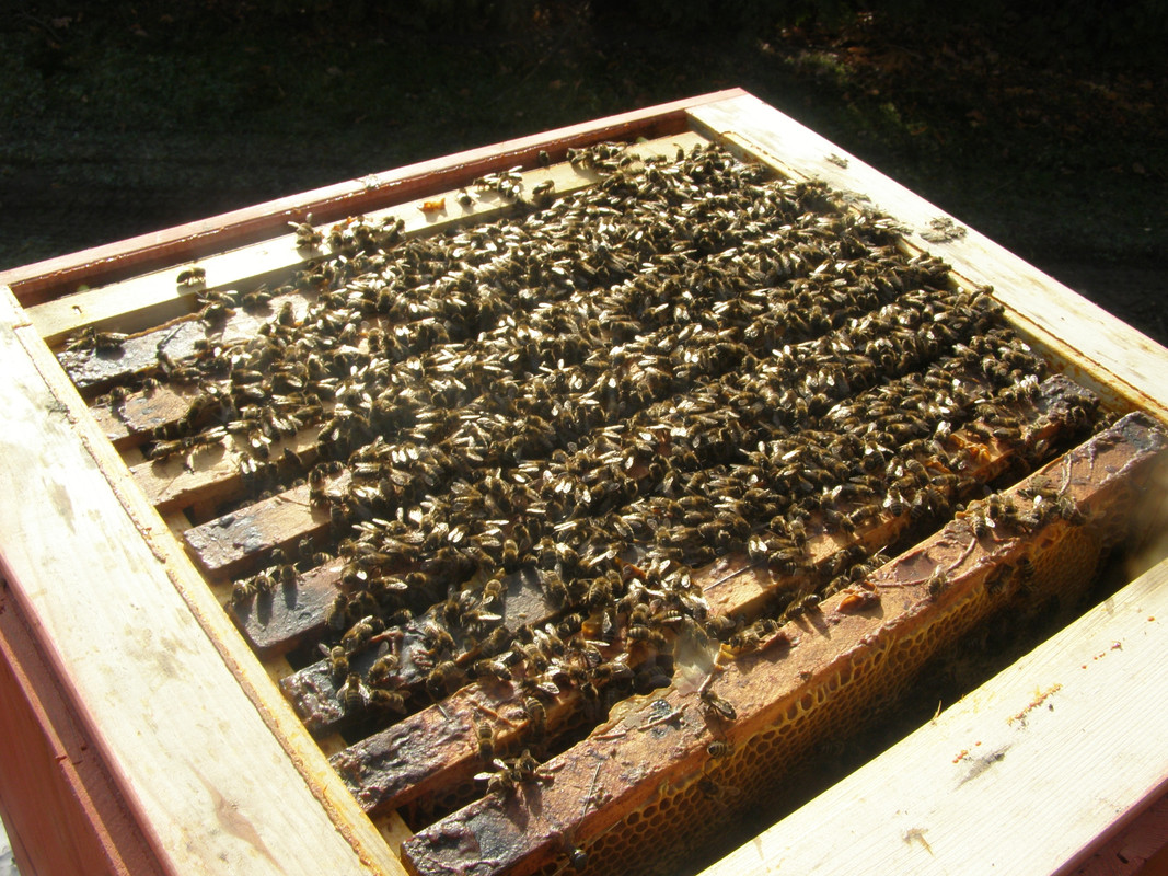 termosolár 18 2 2014 — Postimages