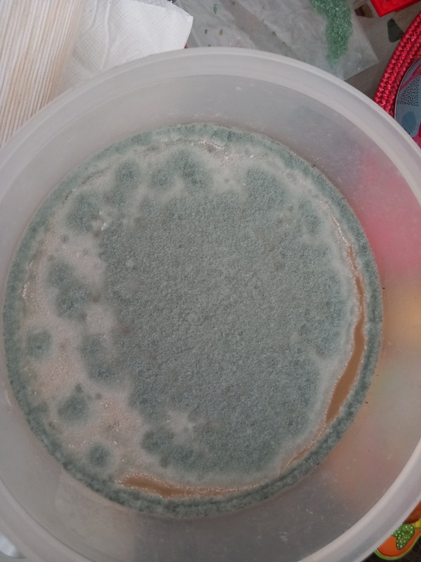 Microsoft Teams image (8) — Postimages