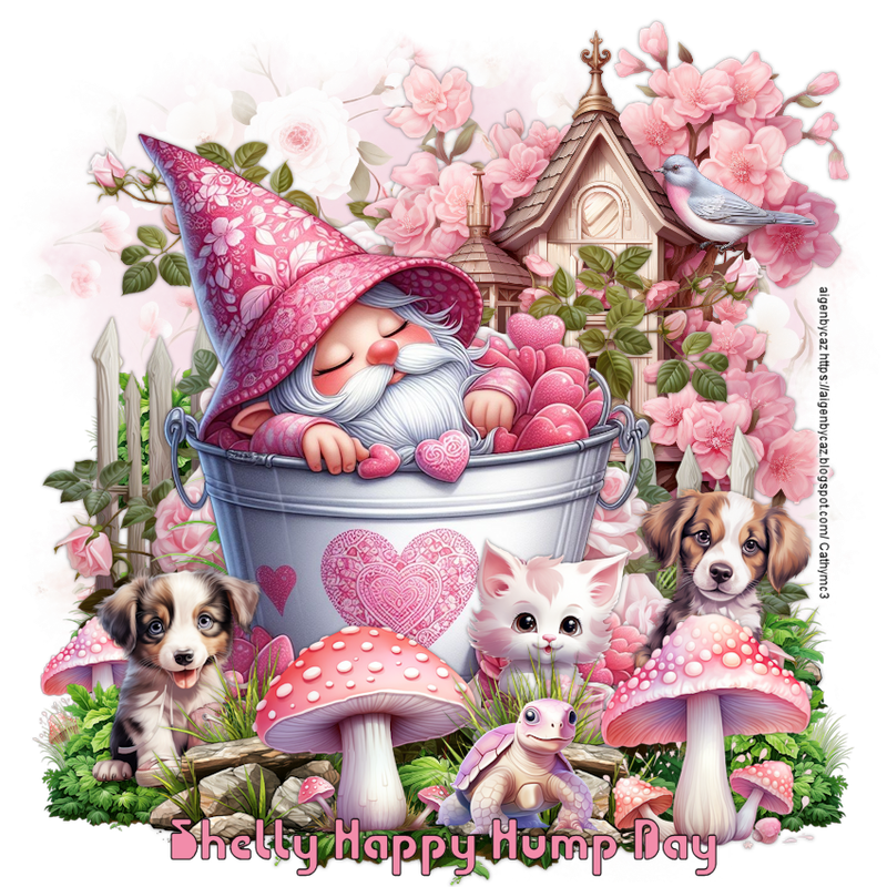 CAZgnome Shelly Happy Hump Day vi — Postimages