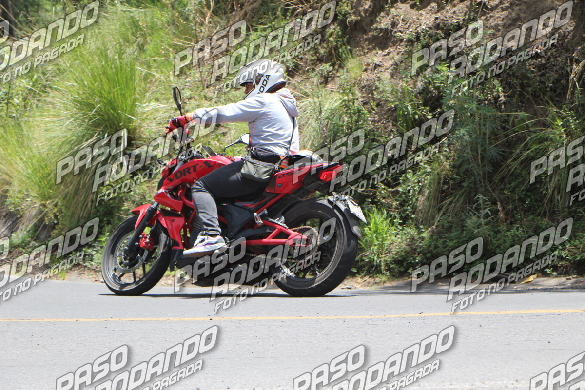 IMG 6083 wm 230933 2000000002 watermarked — Postimages