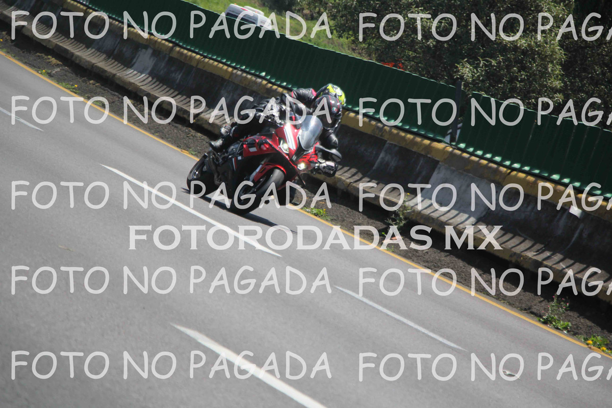 IMG 5152 — Postimages