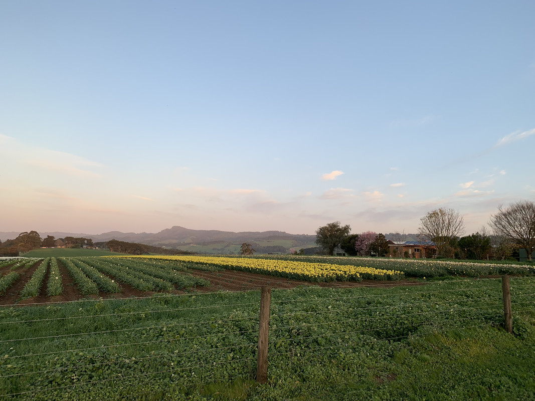 B176733 B DC5 B 4 C28 A3 E0 B163 EADCB0 C8 — Postimages