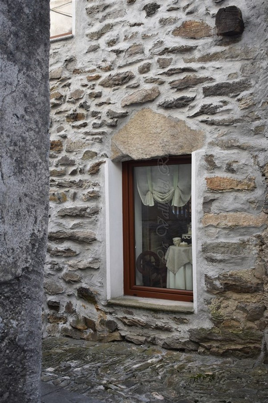 DSC 0484 — Postimages