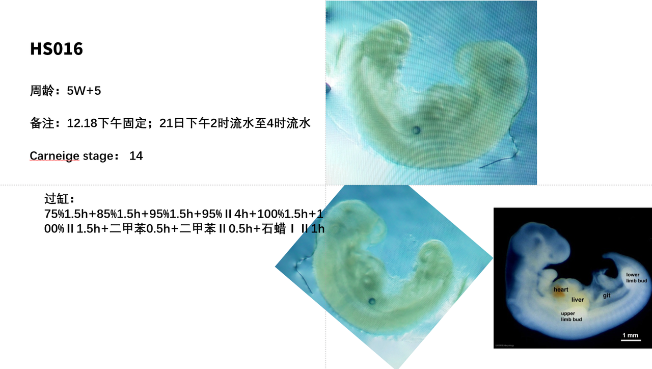 tmp1412 — Postimages