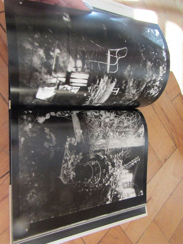 IMG 7111 — Postimages