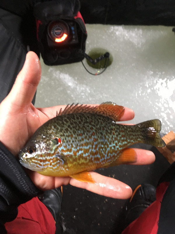 6 EA20726 67 D1 4 EFD BD73 34 CC6 A660376 — Postimages