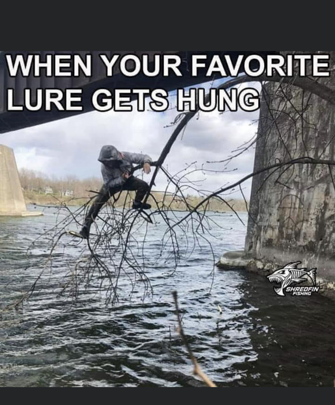 IMG 4038 — Postimages