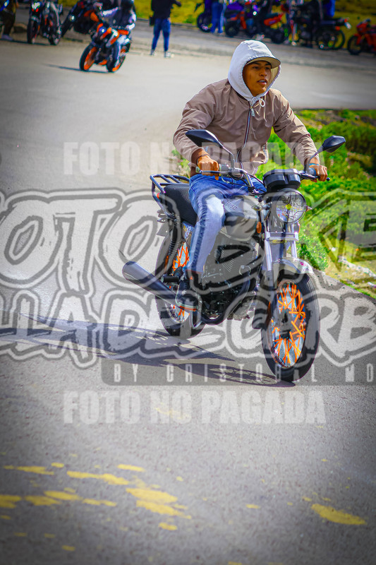 PL2 1038 — Postimages