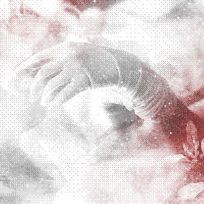 unfortunately, it was paradis. | oc storage | Quotev